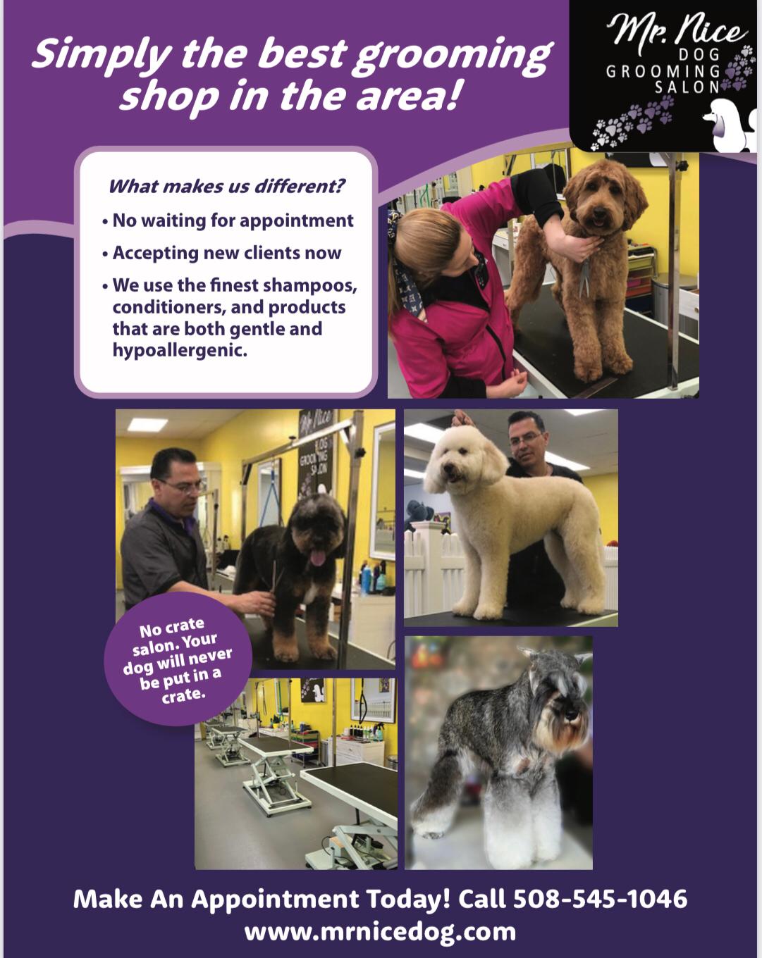 Mr. Nice Dog Grooming Salon – Dog Baths, Spa, Haircuts, Nail Trimming ...