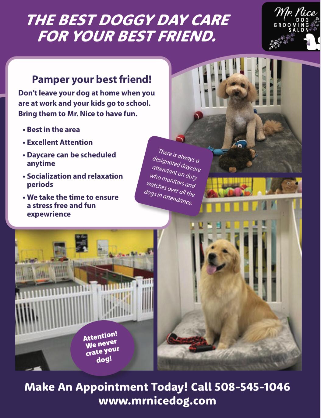 Mr. Nice Dog Grooming Salon – Dog Baths, Spa, Haircuts, Nail Trimming ...